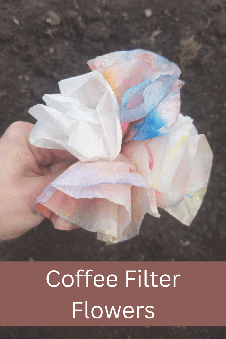 How To Make Coffee Filter Flowers For Toddlers - Simple Living On The ...